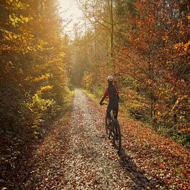 The Rise of E-Bikes: A Commuting Revolution