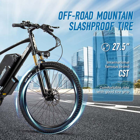 ChamRider DM427: Durable Long-Range E-Mountain Bike for Couriers